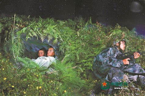 13集团军川西高原实弹射击 创消耗弹种最全记录【2】 军事 人民网