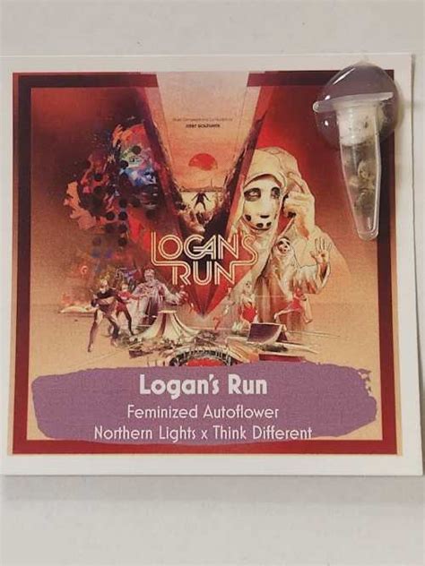 Logans Run 5pk Western Mass Hydroponics