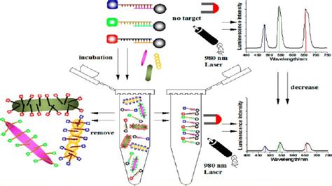 Graphical Representation Of Bacterial Detection Based On A Multiplexed Download Scientific