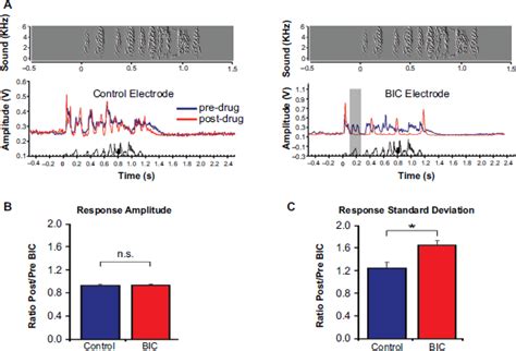 Local Blockade Of Gabaa Receptors Alters The Temporal Dynamics And