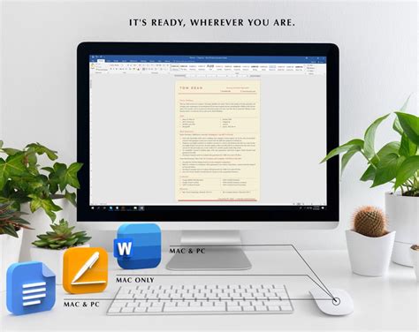 Software Engineer Resume Web Developer Resume Software Developer Cv Template Software