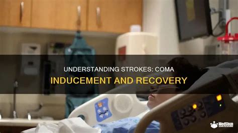 Understanding Strokes Coma Inducement And Recovery Medshun