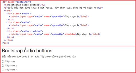 Bootstrap Inputs bootstrap phần 1