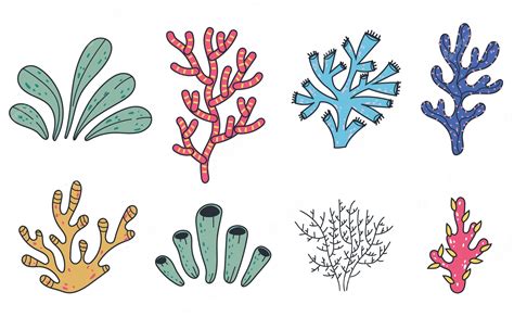 Premium Vector Coral Sea Plant Seaweed Ocean Tropical Nature Doodle