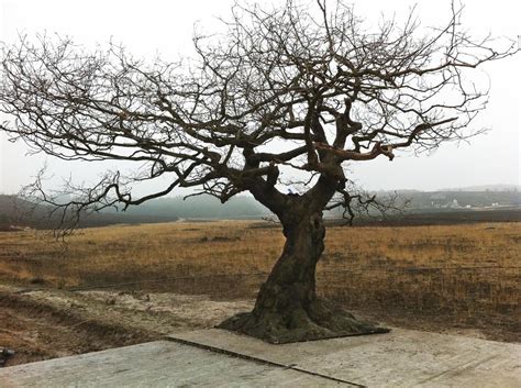 Constructed Trees Living Props