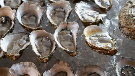Lets Talk Sex The Science Behind Aphrodisiacs Exploring Their