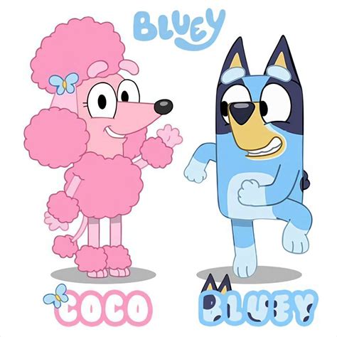 Coco And Bluey Artofit