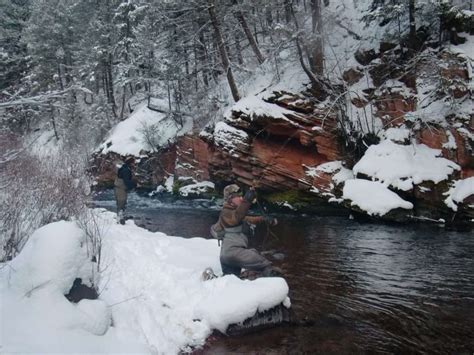 The Best Of Winter Fly Fishing In Colorado