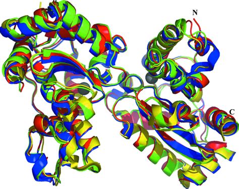 Iucr The First Crystal Structure Of Manganese Superoxide Dismutase From The Genus Staphylococcus