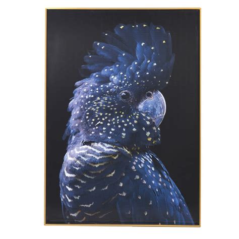 Right Facing Parrot Picture