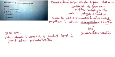 Solved Two Monosaccharides Joined By Dehydration Synthesis Form A Carbohydrate Molecule Called