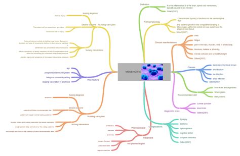 Menengitis Meningitis Image Coggle Diagram