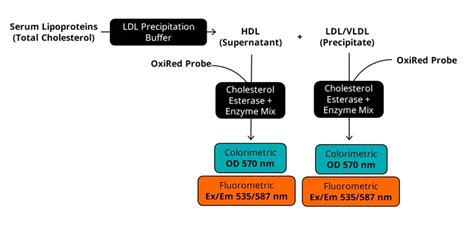Cholesterol Assay Kit Hdl And Ldlvldl Ab65390 Abcam