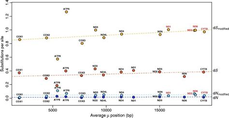Plot Of Average Mutation Position X Axis And Average Nonsynonymous