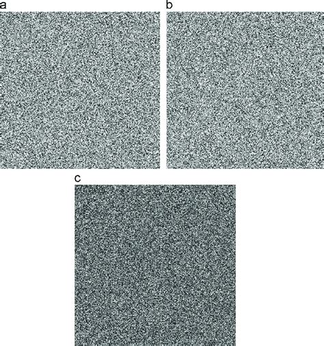 The Key Sensitivity Test With Changing The Encrypted Key A Image Download Scientific