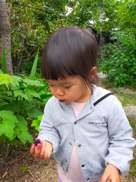 子どもの成長を見守る記念植樹 ブログ 大阪の自然植栽専門店aonosumika