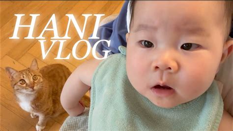 Vlog 남편 출장 Day1🚗ㅣ아기랑 고양이👶🏻🐈ㅣ엄마 혼자 육아하기ㅣ7개월 아기 일상ㅣ애묘육아 Youtube