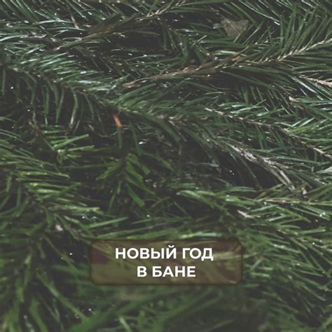 Баня Сауна "Тимьяновы камни" Волгоград | ВКонтакте