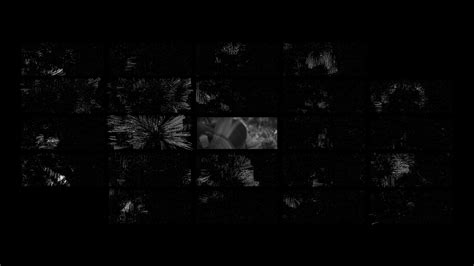 “algorithmic Analysis And Visualization Of Motion In Cinema” By Rodriguez Acm Siggraph History