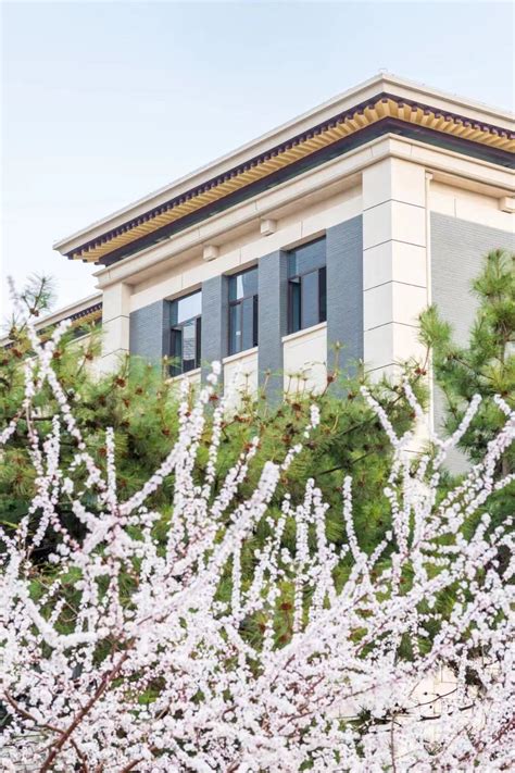 学院介绍 北航软件学院