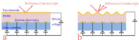Schematic Drawing Of The Tunable Spatial Light Modulator A Without Download Scientific