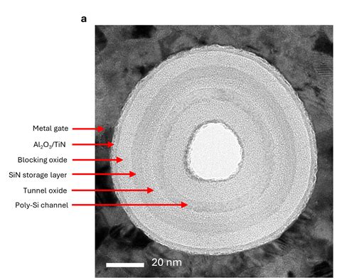 Automatic Critical Dimension Measurements Enabled By Deep Learning