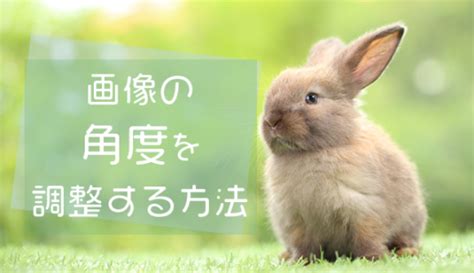 【photoshop】フォトショップでいらないものを消す6つの方法【adobe】 Moku Review