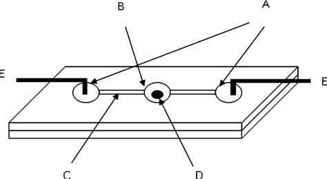 Schematic Illustration Of Microfluidic Mixing Device Using Chaotic