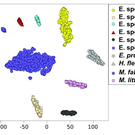 tsne plot depicting the species clusters based on the votes from the