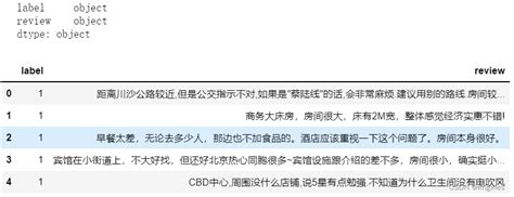Nlp Fasttext实战短文本分类（携程酒店评论数据）使用携程网上对酒店的评价数据commentcsv实现词嵌入 Csdn博客