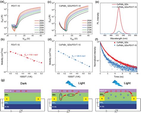 Solution‐processed Cspbbr3 Quantum Dotsorganic Semiconductor Planar Heterojunctions For High