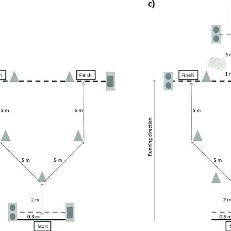 Schematic Illustration Of The Three Tests A Linear Sprint Test Download Scientific Diagram
