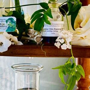 Jasmine Otto Essential Oil India Jasminum Sambac Rarest Artisan