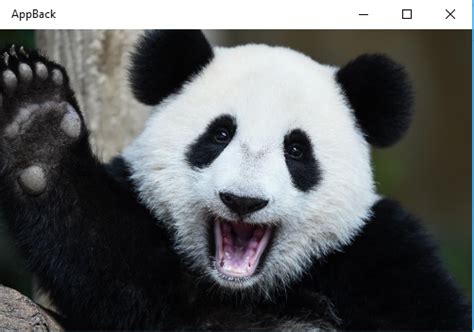 C Microsoft UWP App Set Size Of Window To Match Background Image Stack Overflow