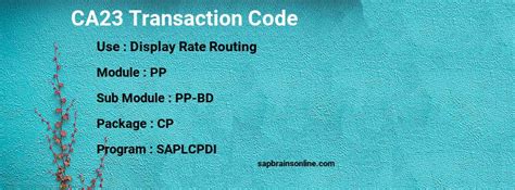 CA SAP Tcode For Display Rate Routing