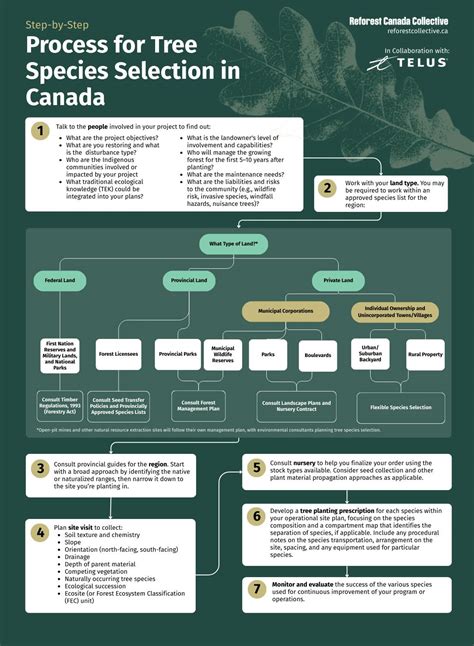 Step By Step For The Process Of Tree Species Selection In Canada