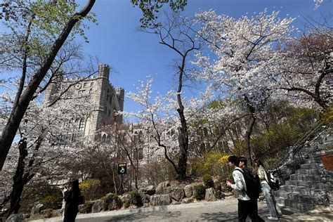 韓国、いじめの加害記録を大学入試の結果に反映へ＝ネットには「不十分」の声も
