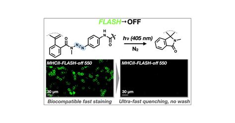 Light Deactivated Fluorescent Probes Flash Off For Multiplexed