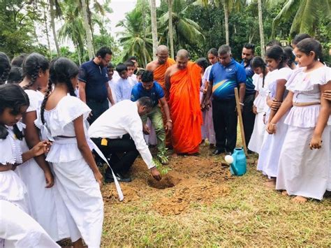 Fha Program Alliance Finance Fha Program Alliance Finance