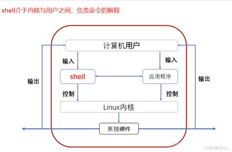 【shell 脚本入门】轻松上手的实战指南shell 脚本入门教程 Csdn博客