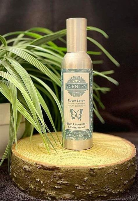 Scentsy Mental Health Awareness Collection In 2024 Bergamot Scentsy
