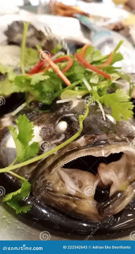 Steamed Black Snapper Stock Image Image Of Black Cina 222542643