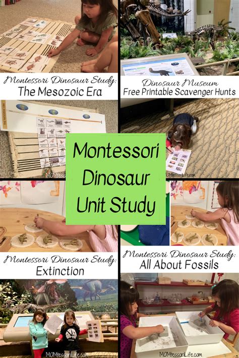 Montessori Dinosaur Unit Study Dinosaur Unit Study Dinosaur Lesson