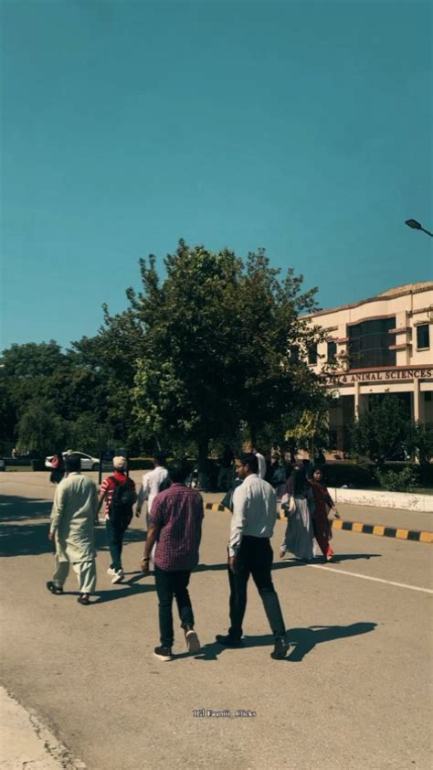 ‎🍁فانی‎ ‎اور لوگ تو چاند کو بھی چاند کی طرح نہیں رکھ پاتے Instagram
