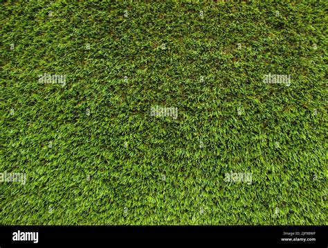 Artificial Green Field Background The Texture Of Vivid Green Grass