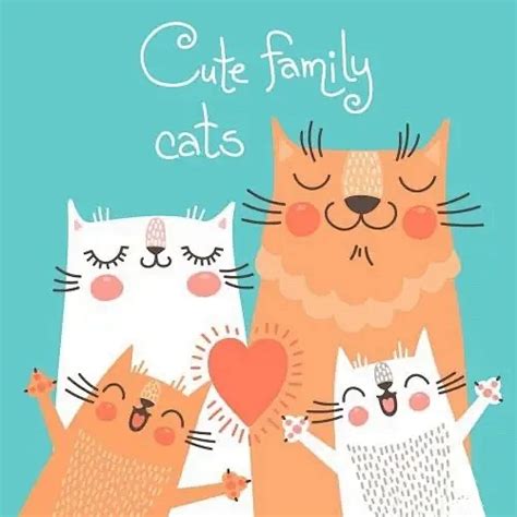 《猫先生和猫小姐》 花瓣网