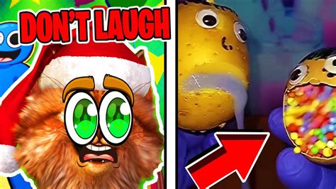 Reacting To The Funniest Tiktok Videos 58 Compilation Youtube