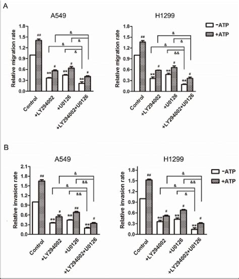 Comparison of the effects of LY294002 or U0126 alone or a combination ...