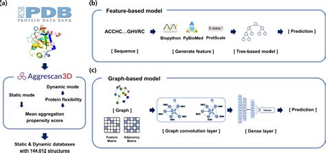 Figure 2 From Prediction Of Protein Aggregation Propensity Via Data Driven Approaches Semantic