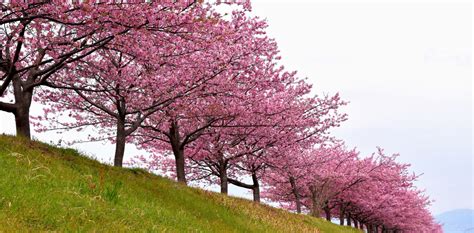 福岡市城南区の住みやすさとはファミリー層におすすめな城南区の魅力をご紹介 NEXTの家